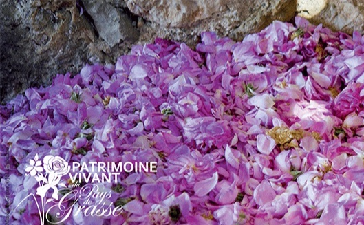 Les savoir-faire liés au Parfum en Pays de Grasse Inscrits au ...